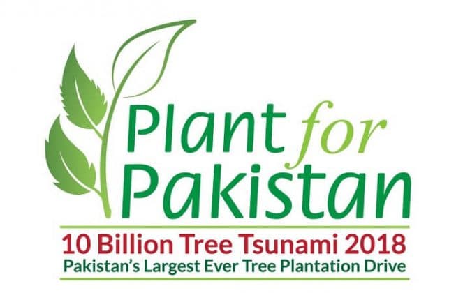 Pakistan’s “10 Billion Tree Tsunami” Has Transformed the Region in One ...
