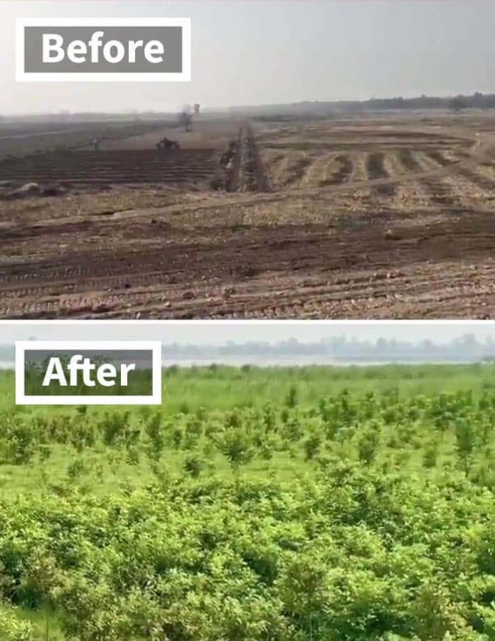Pakistan’s “10 Billion Tree Tsunami” Has Transformed the Region in One ...